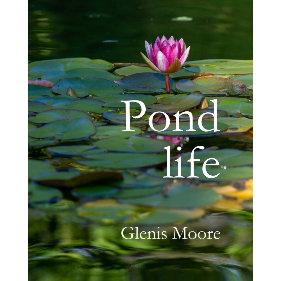 Poetry Workshop Alumna Glenis Moore Publishes Pond Life Chapbook ...