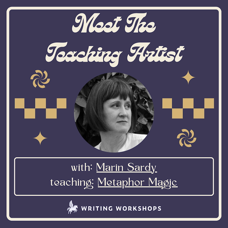 Meet the Teaching Artist: Metaphor Magic with Marin Sardy – Writing ...